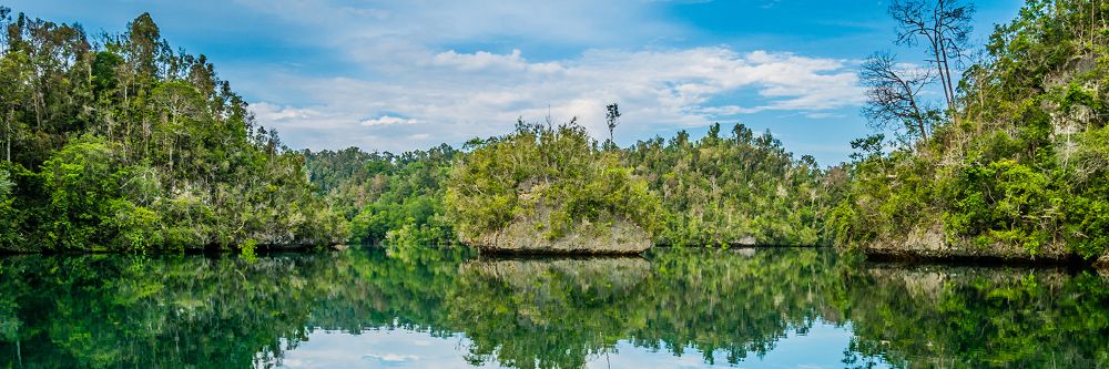 6 Mangrove Forests in Java - Indonesia Travel