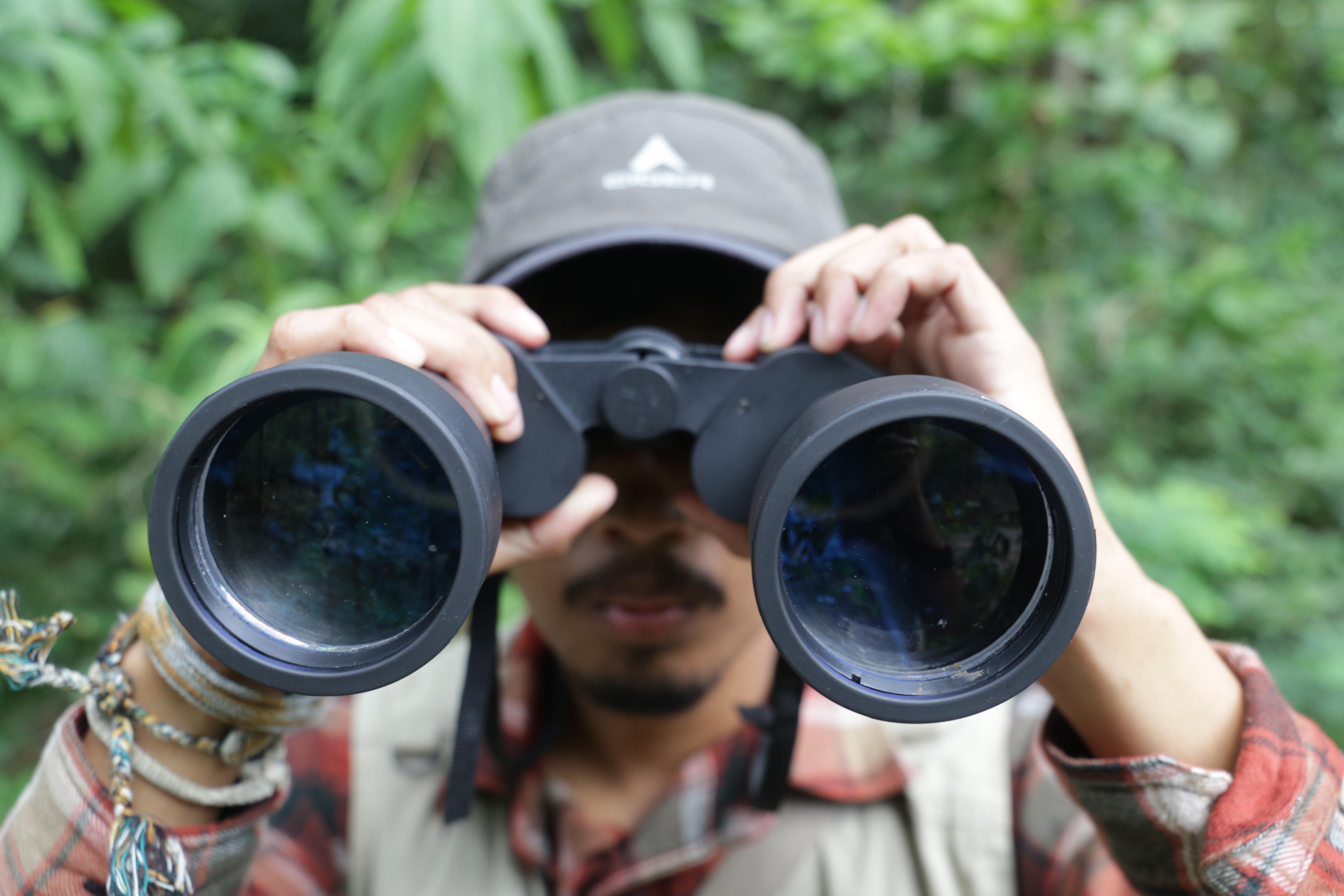 Kenalan dengan Serunya Bird Watching di Desa Wisata Senggigi ...