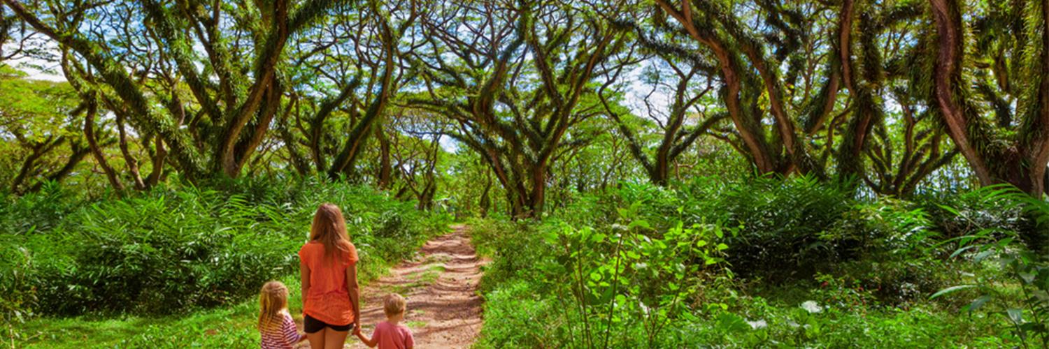 Planning a Weekend Getaway? Here Are 5 Must-Try Family Adventures in East Java