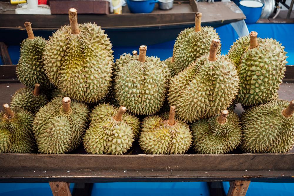 Durian Ucok Medan