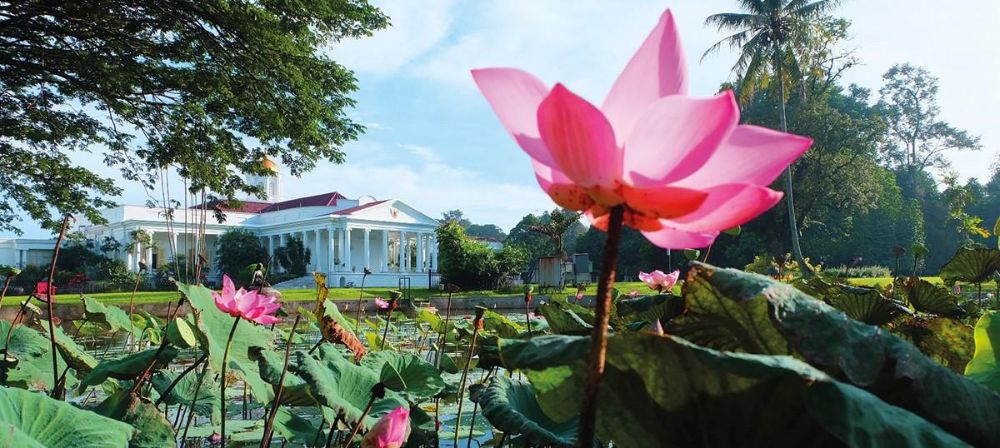 Favehotel Padjajaran Bogor