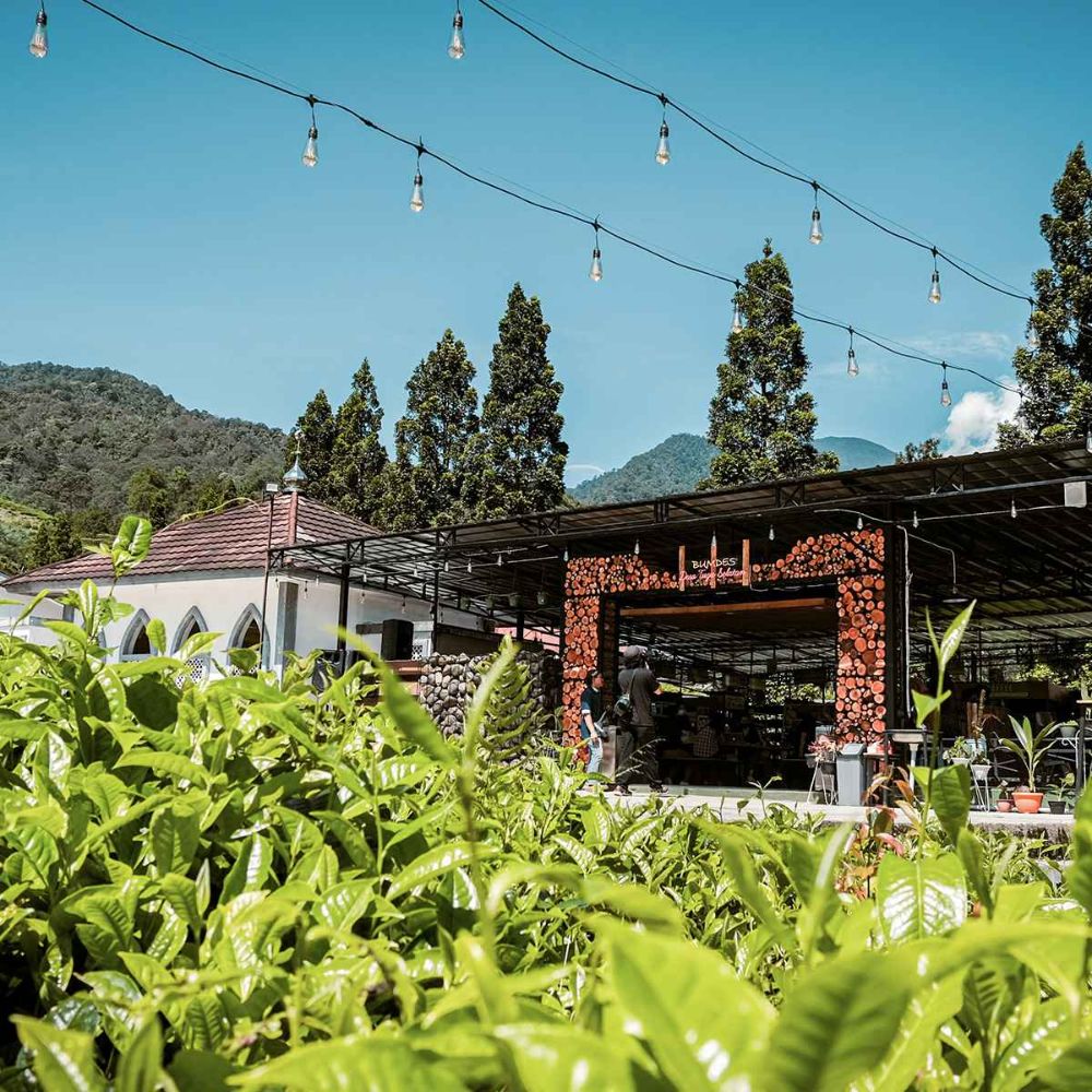 5 Exciting Activities in Tugu Selatan Tourism Village, Bogor. Give It a ...