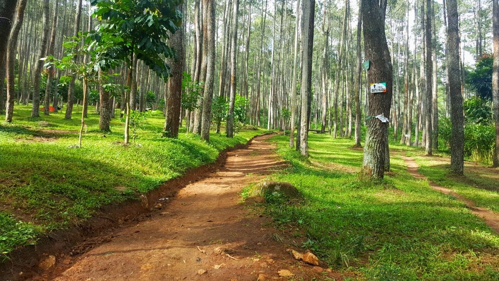 Batu Kuda, Destinasi Wisata Alam Sejuk di Bandung