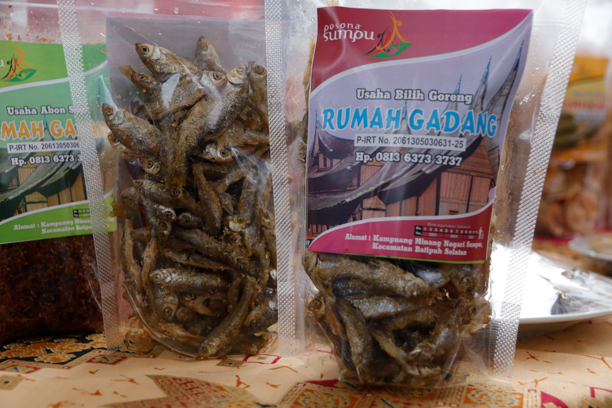 5 Exciting Activities in Kampuang Minang Tourism Village, Nagari Sumpu ...