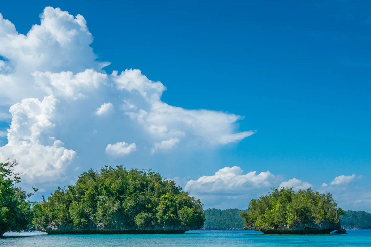 Mau Wisata ke Raja Ampat? Ini 8 Spot Menyelam Terbaiknya - Indonesia Travel