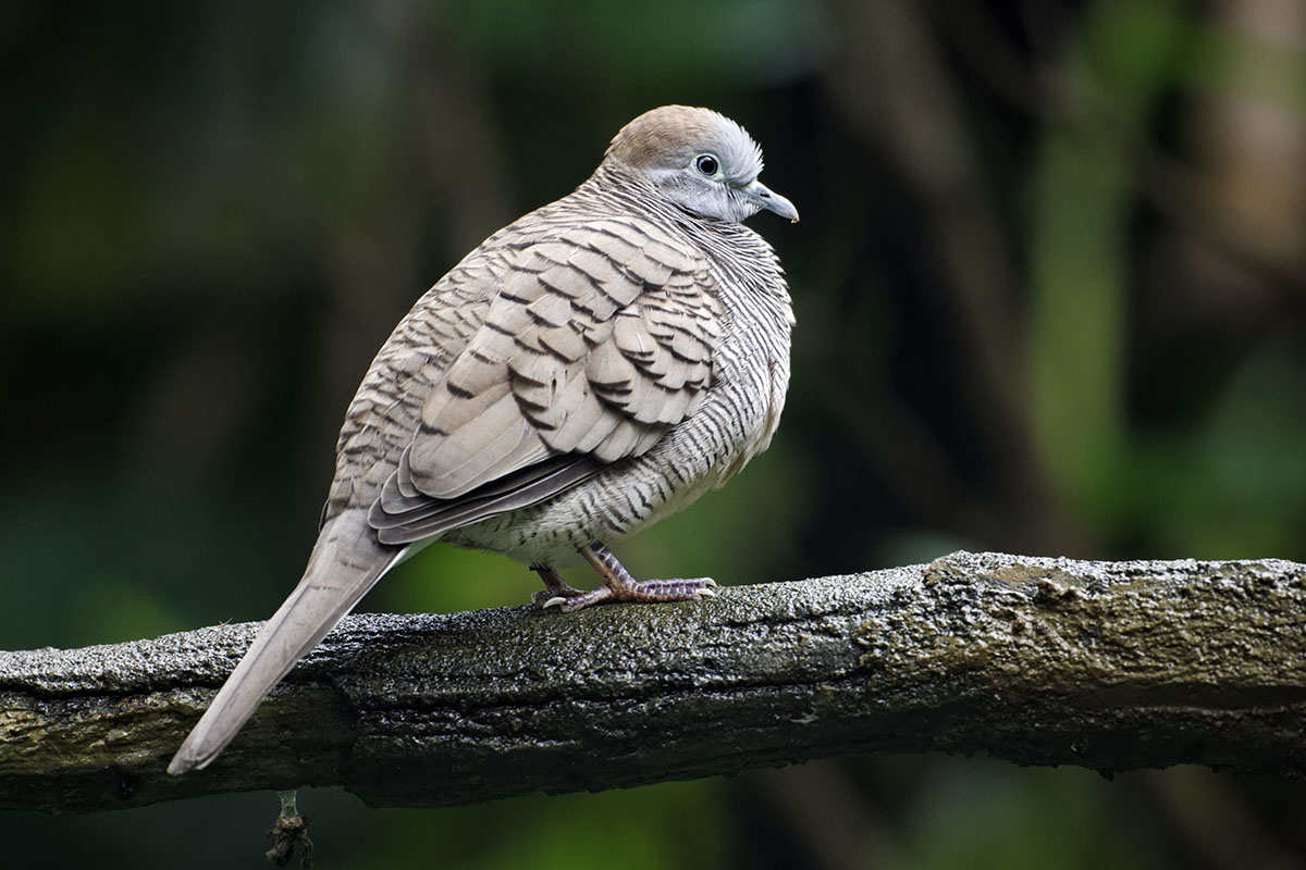 5 Activities in Jatimulyo Village Perfect for Nature Lovers, A Must-Try!